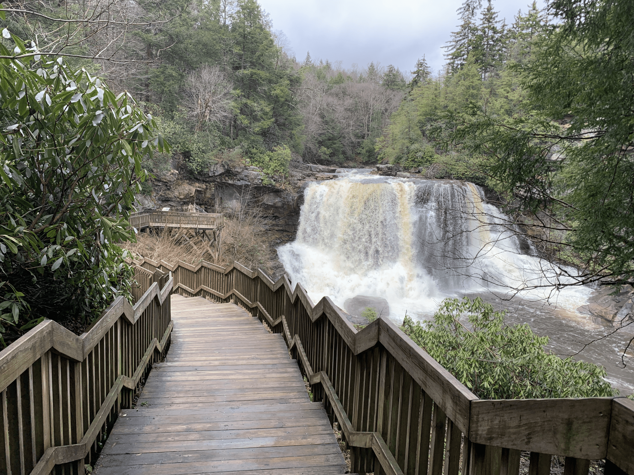 Blackwater Falls State Park Cabin Rentals: The Best Vacation Destination