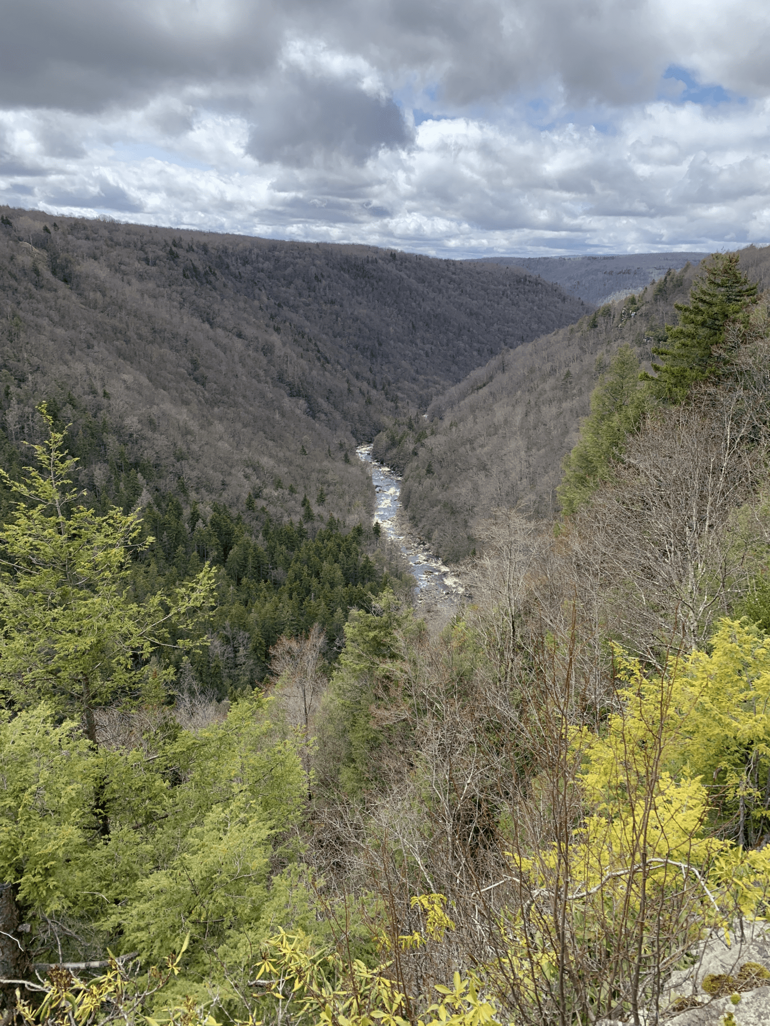 Your Guide to Cabin Rentals at Blackwater Falls State Park