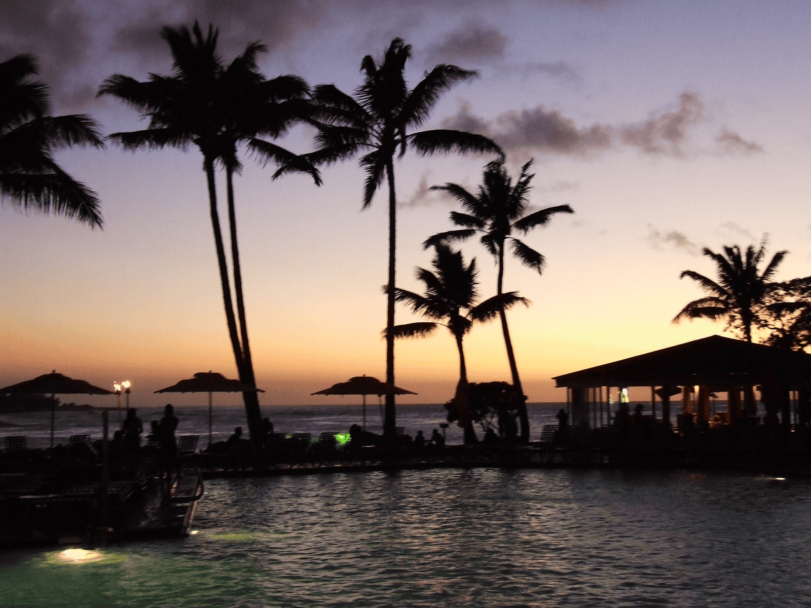 Briar Travel Free Bahamas Trip