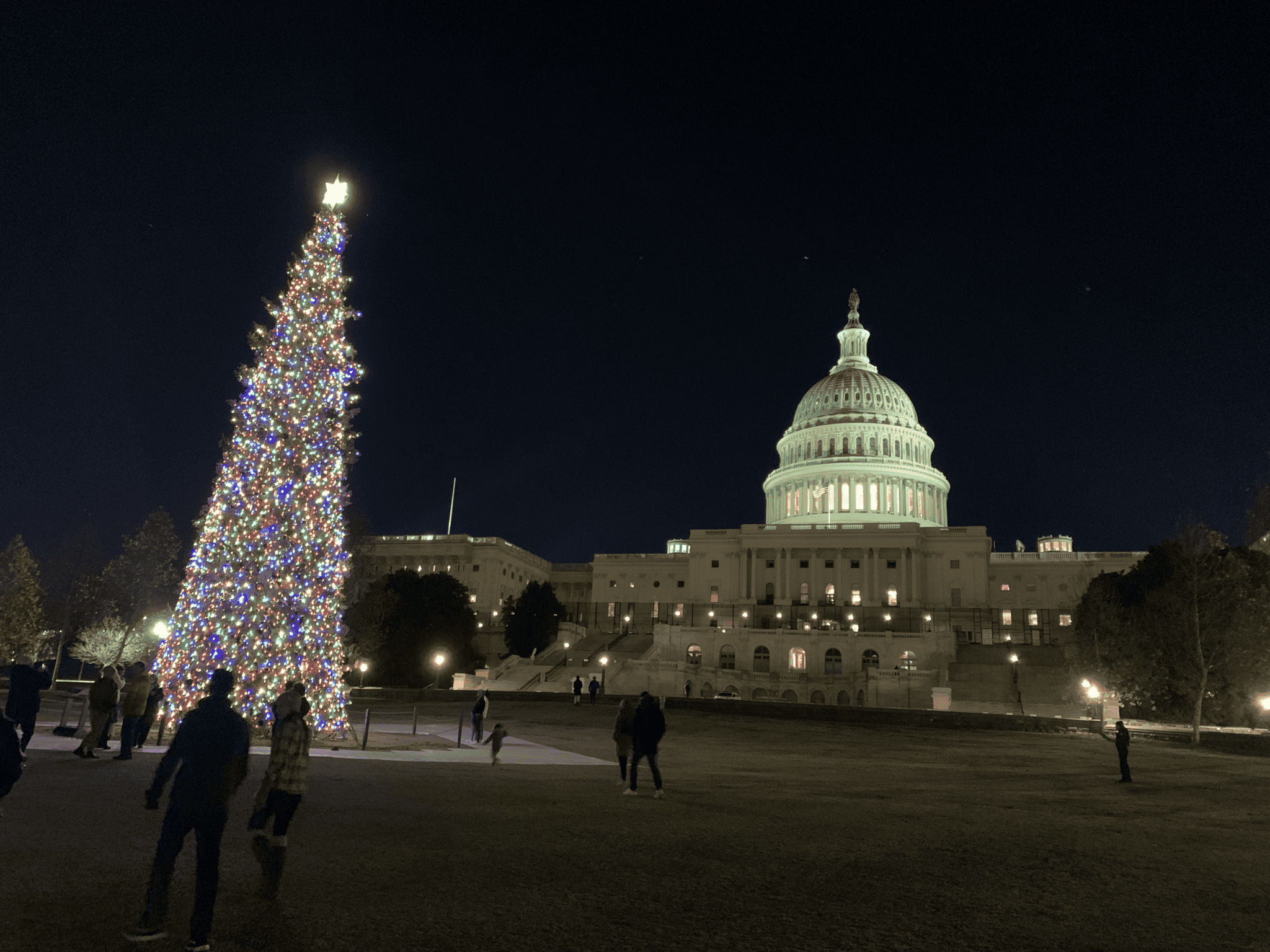 52 Romantic Things to Do in DC by a former Washingtonian (2024)