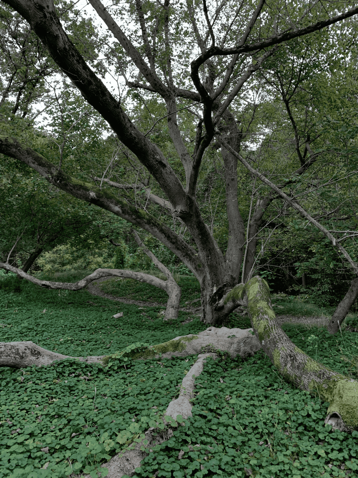 17 Best Hiking Spots Near DC (by a former Washingtonian)